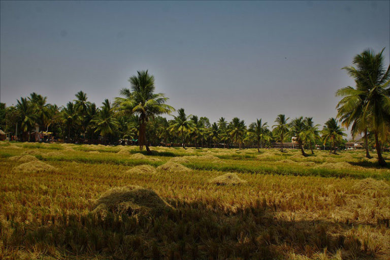 Hampi Karnataka – The land with millions of boulders
