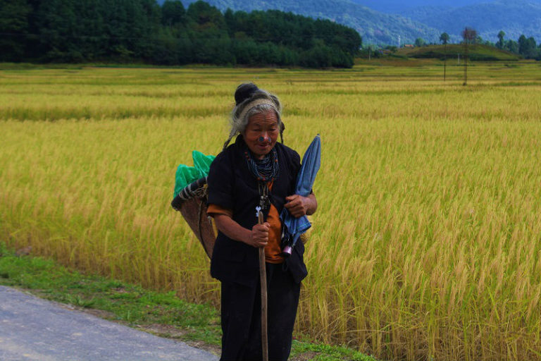 Ziro Valley Arunachal Pradesh – The Land of the Apatani Tribe