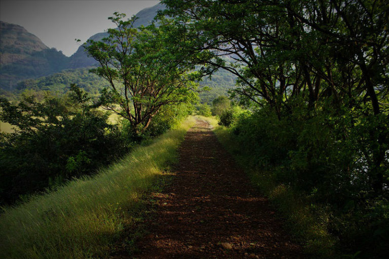 Andharban jungle and Devkund Waterfall Trek-get lost into the dense forest