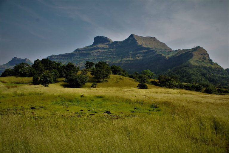 Andharban jungle and Devkund Waterfall Trek-get lost into the dense forest