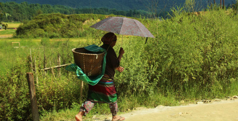 Ziro Valley Arunachal Pradesh – The Land of the Apatani Tribe