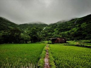 Bendewadi,Laalwadi and Jagtap waterfalls – The land of waterfalls(INR 300)