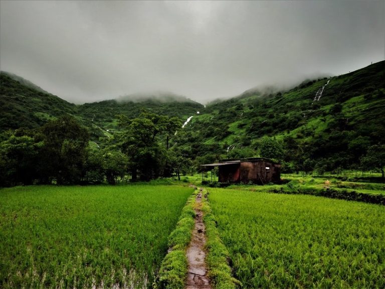 Bendewadi,Laalwadi and Jagtap waterfalls – The land of waterfalls(INR 300)