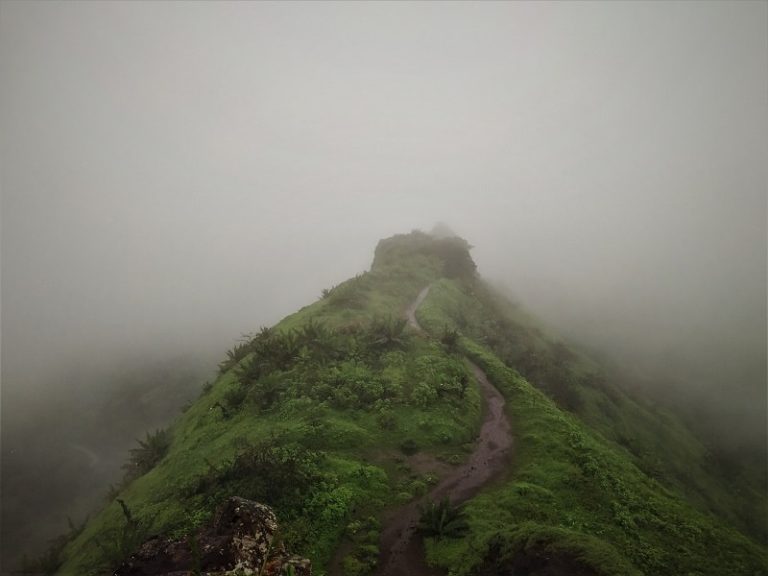 Tung Fort Trek - A journey through the clouds (INR 250)