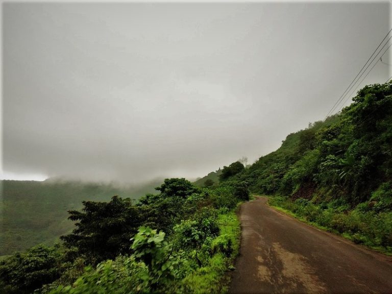 An exciting road trip to Purandar Fort from Pune (INR 300)