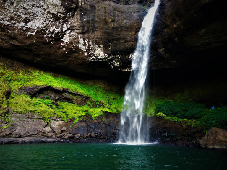 Andharban jungle and Devkund Waterfall Trek-get lost into the dense forest