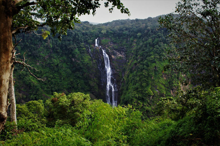 Jog Falls Karnataka - As you've never seen it before