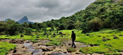 Kataldhar Waterfall Trek – A journey through the dense forest