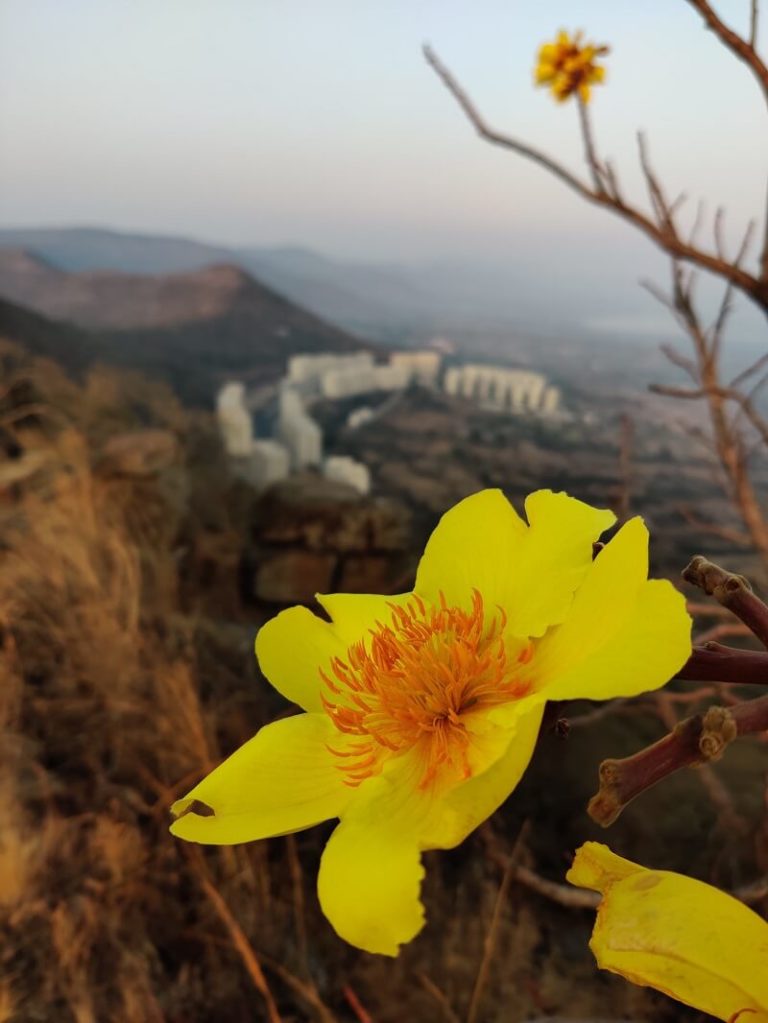 Marunji Backside Hill Pune -Sunrise sunsets view from this hill are amazing