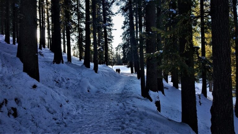 Narkanda in winters - An unexplored hidden gem in the lap of Himalayas