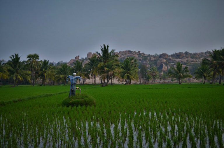 Hampi Karnataka – The land with millions of boulders