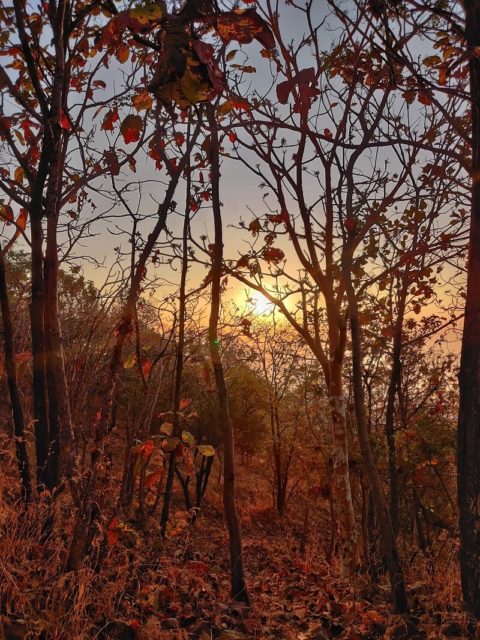 Marunji Backside Hill Pune -Sunrise sunsets view from this hill are amazing
