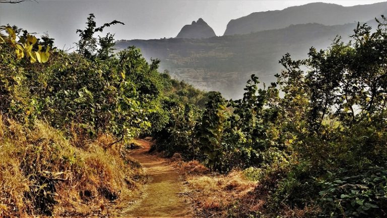 Kalavantin Durg Trek – A trek not for the faint hearted (INR300)