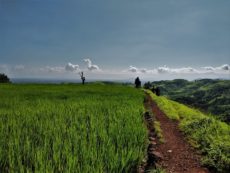 25 Amazing places to visit near Mumbai Pune in monsoon