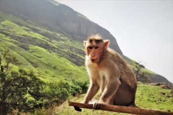 Nashik City – An exciting two day trip from Pune/Mumbai/Surat (INR 1500)