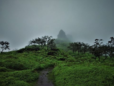 Tung Fort Trek - A journey through the clouds (INR 250)