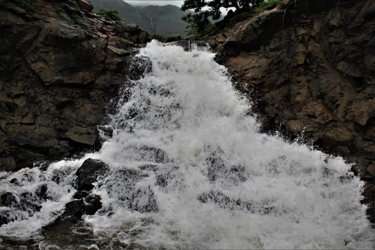 12-hours monsoon road trip exploring Tamhini Ghat (INR 300)