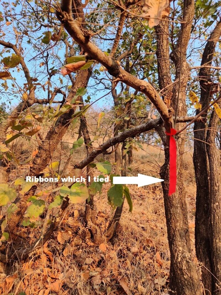 Marunji Backside Hill Pune -Sunrise sunsets view from this hill are amazing