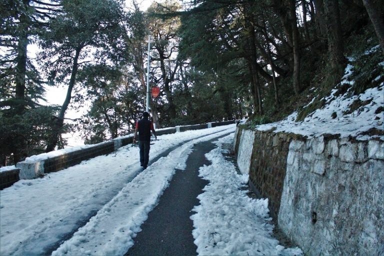 Chail in winters – The secret sanctuary in the lower Himalayas