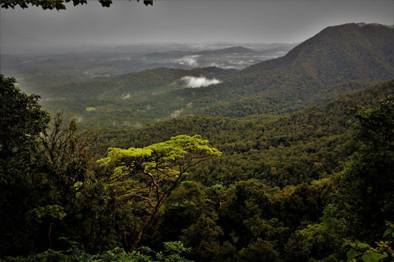 Dodda Mane Agumbe – “Wish I could stay here forever”