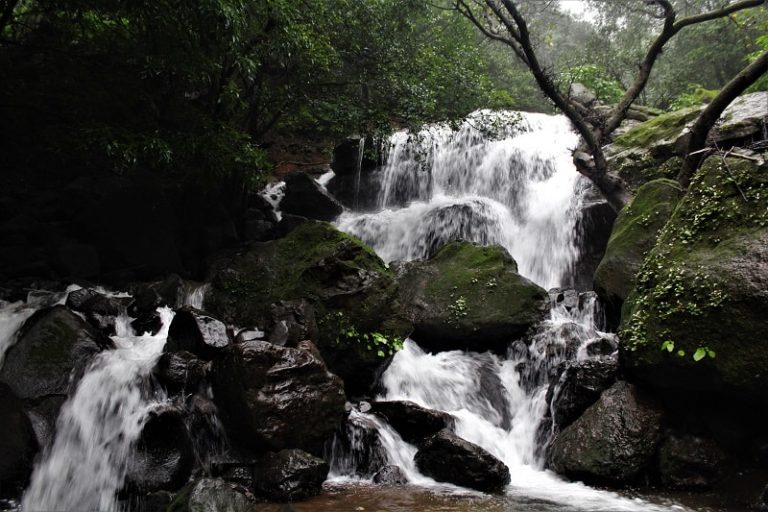 12-hours monsoon road trip exploring Tamhini Ghat (INR 300)