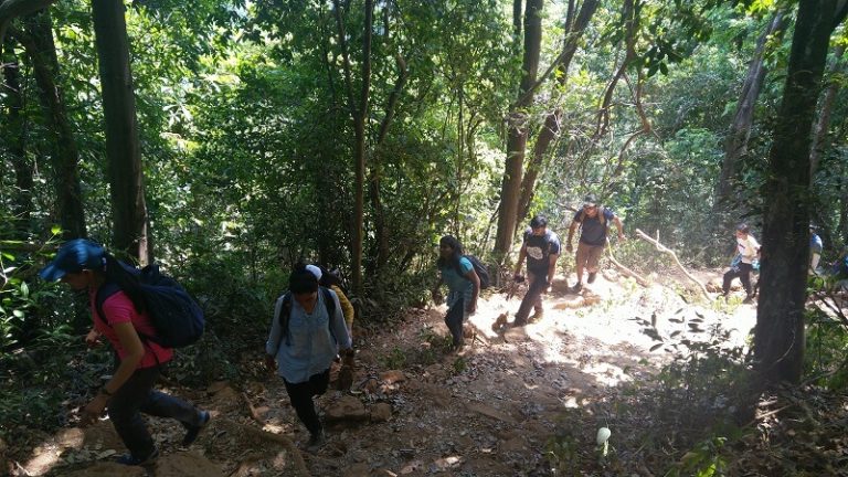 Vasota Fort Jungle Trek – A trek within the Koyna Wildlife Sanctuary
