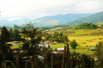 Ziro Valley Arunachal Pradesh – The Land of the Apatani Tribe