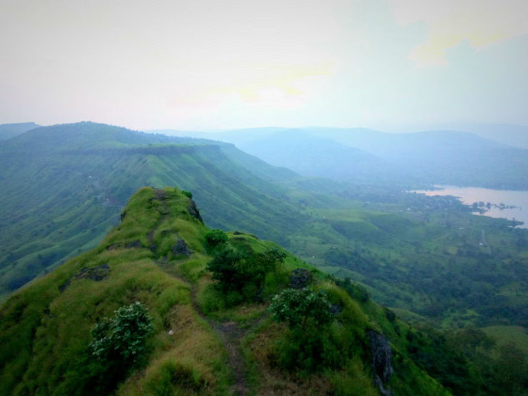 Satara –A road trip to Maharashtra’s Valley of Flowers from Pune(INR 800)