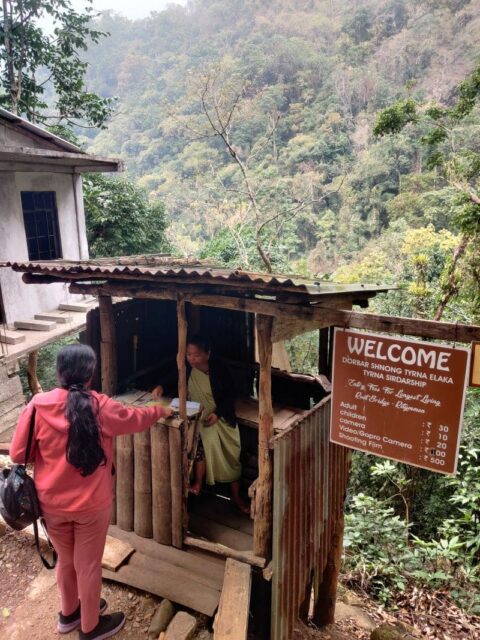 The Double Decker Living Root Bridge - A Journey of Discovery
