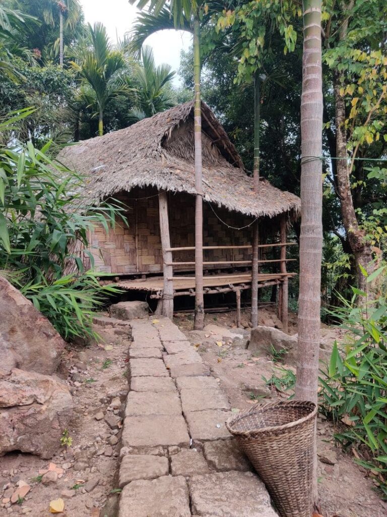 The Double Decker Living Root Bridge - A Journey of Discovery