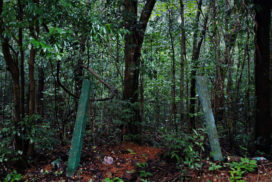 Dodda Mane Agumbe – “Wish I could stay here forever”