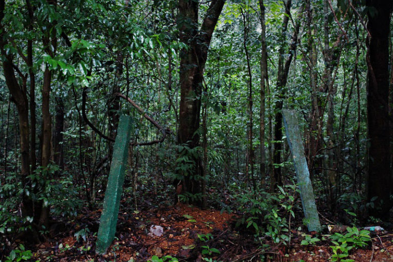 Dodda Mane Agumbe – “Wish I could stay here forever”