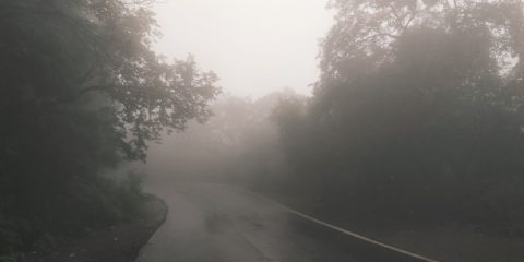 12-hours monsoon road trip exploring Tamhini Ghat (INR 300)