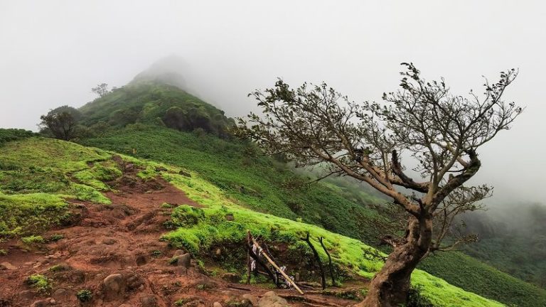 Torna Fort trek and Madhe Ghat Waterfall - A two day trip(INR 400)