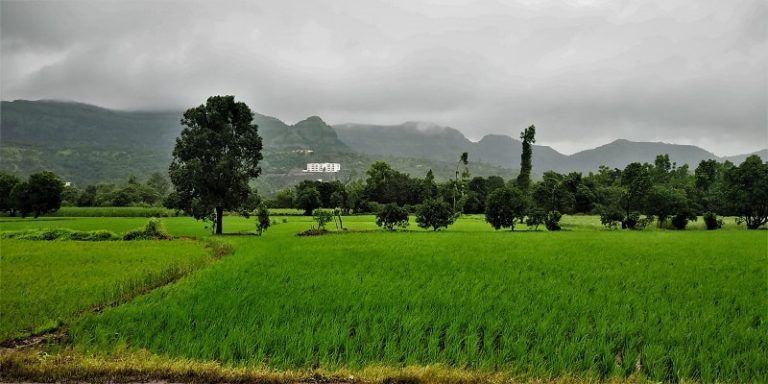 12-hours monsoon road trip exploring Tamhini Ghat (INR 300)