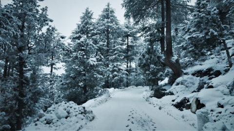 Kalpa in winters –Experience snowfall amidst the Kinnaur Kailash mountain