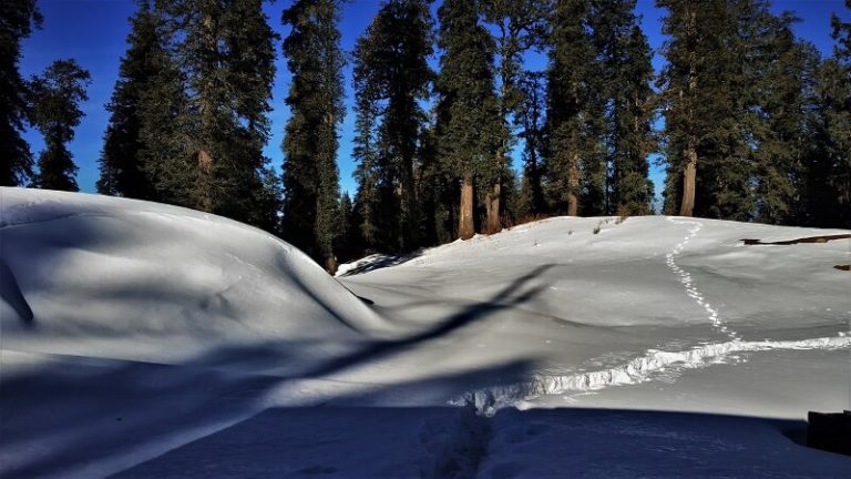 Narkanda in winters - An unexplored hidden gem in the lap of Himalayas