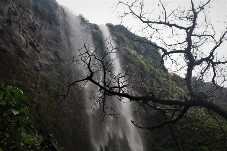 12-hours monsoon road trip exploring Tamhini Ghat (INR 300)